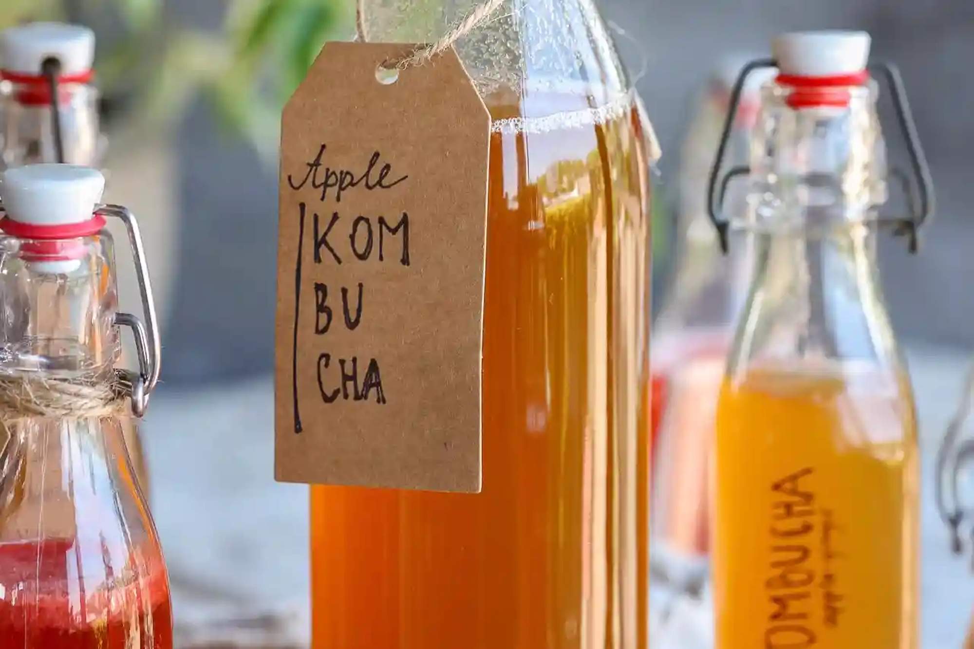 Homemade Kombucha Tips & Troubleshooting, + printable guide | Pick Up Limes