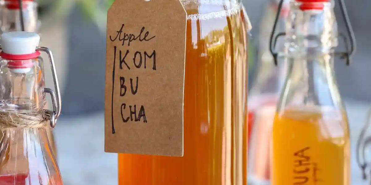 Homemade Kombucha Tips & Troubleshooting, + printable guide | Pick Up Limes